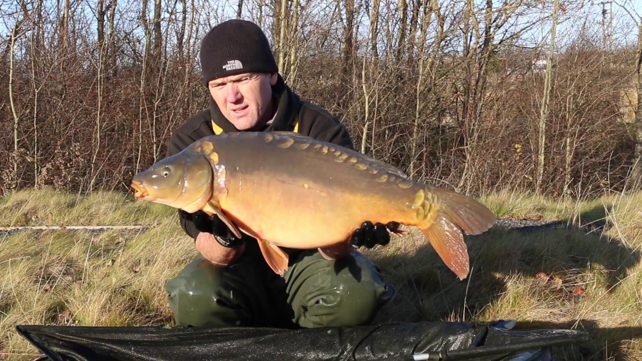 New stocking of more 20lb+ carp to Alpha at Tees Valley lakes - YouTube