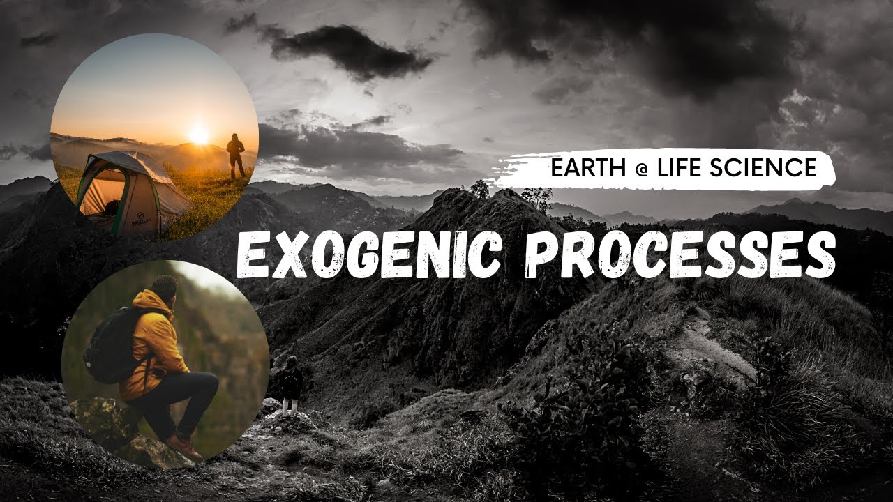 EXOGENIC PROCESSES - EARTH & LIFE SCIENCE - YouTube