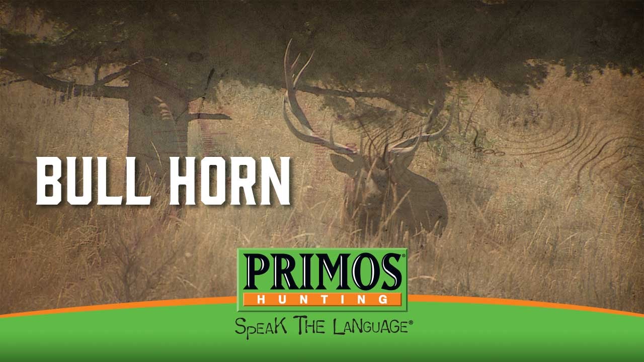 How to use the Primos Bull Horn - YouTube