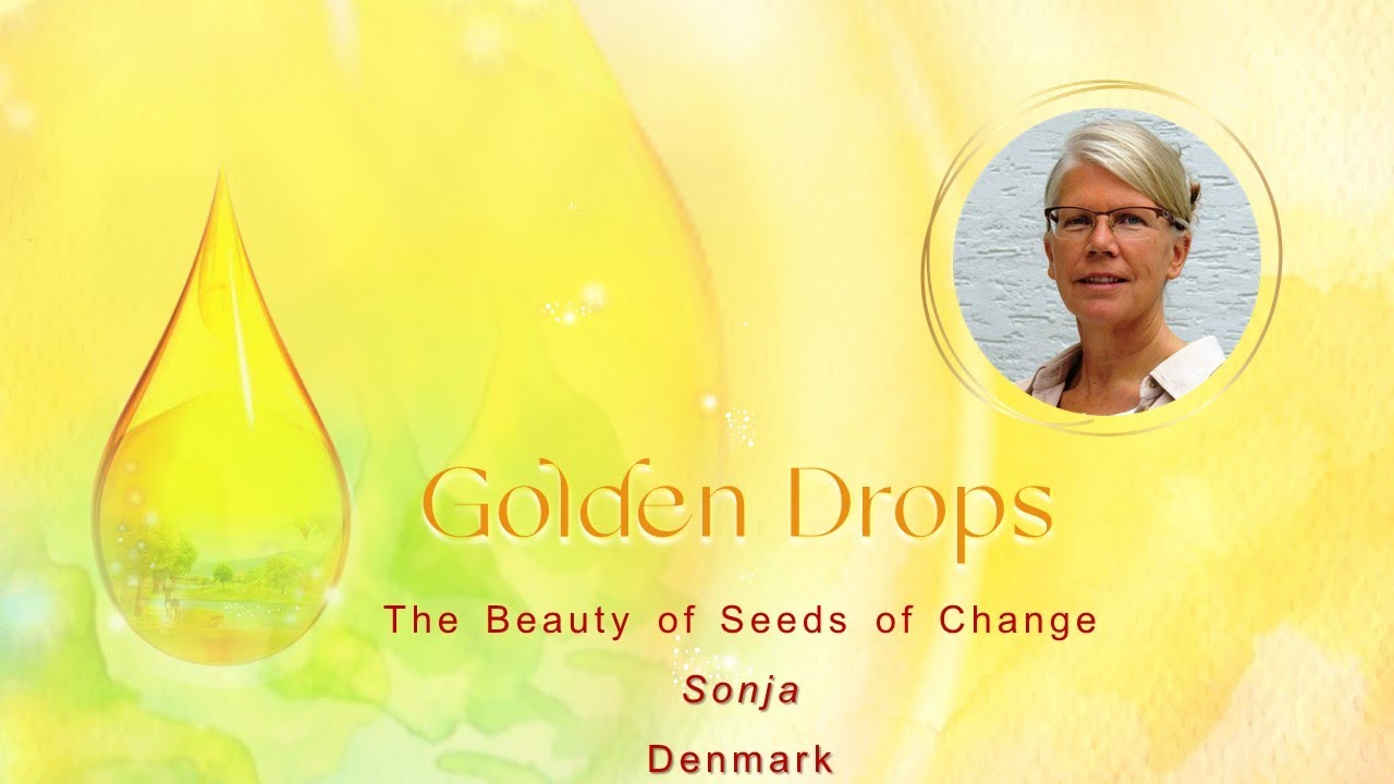 Golden Drops - Seed of Change meditation - YouTube