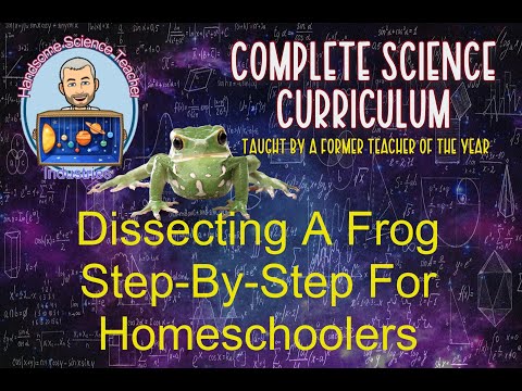 How To Dissect A Frog - YouTube