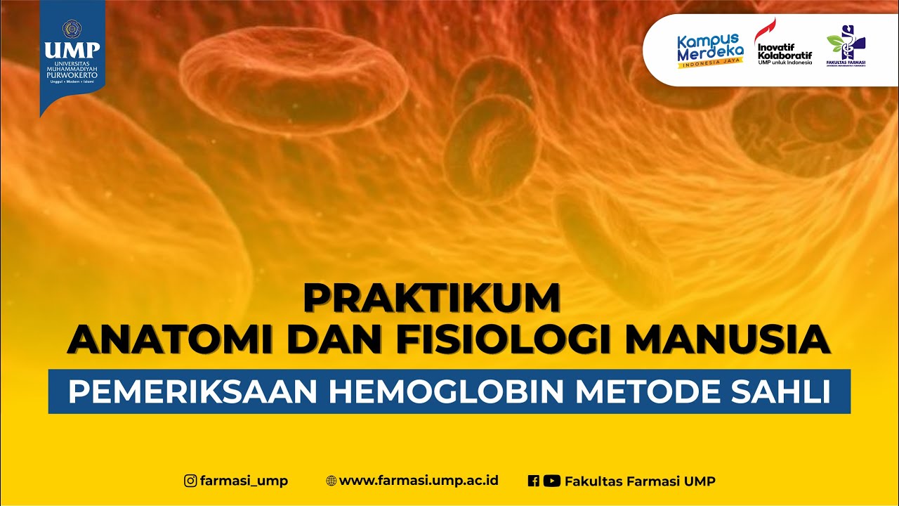 P6 : Pemeriksaan Hemoglobin Metode Sahli - YouTube