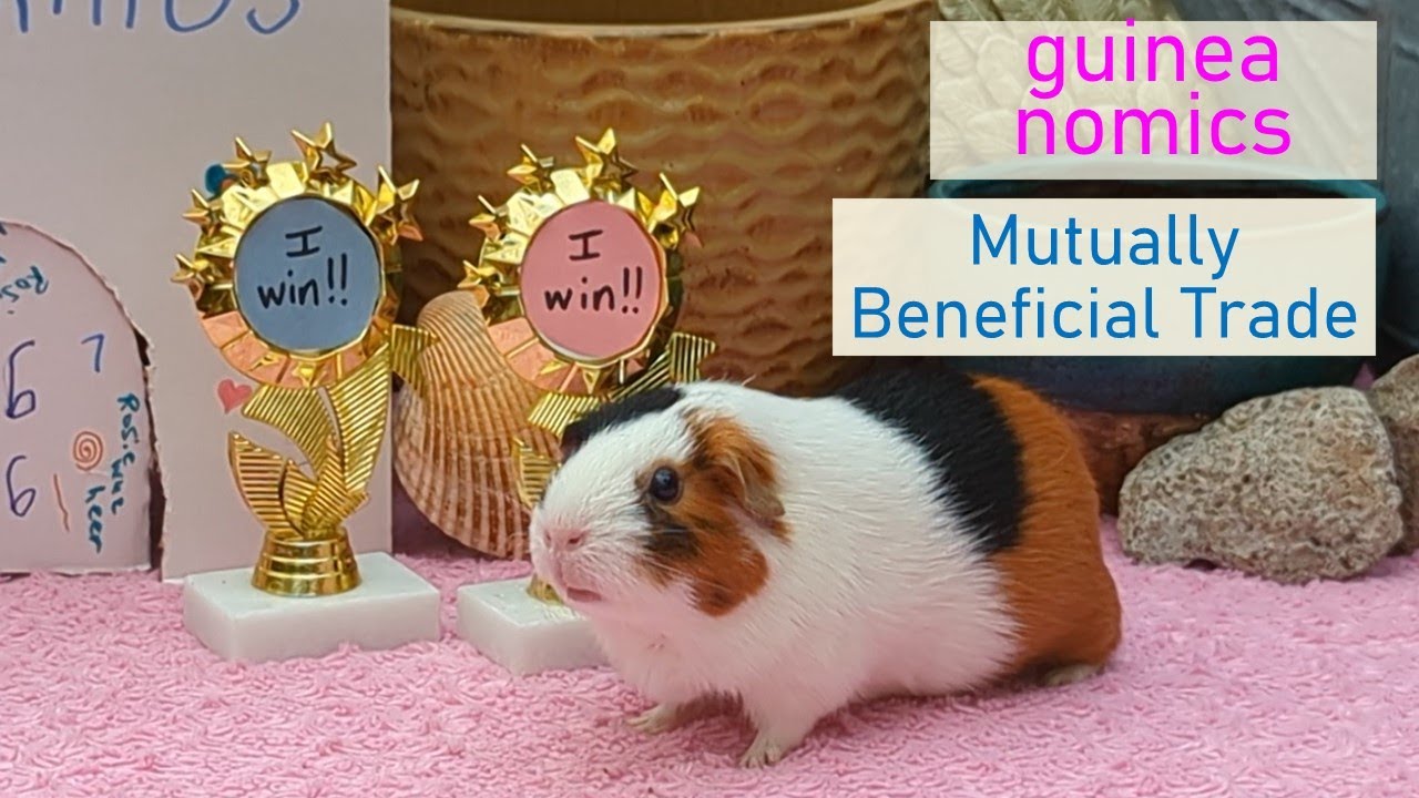 Mutually Beneficial Trade - It's a Win/Win!! - YouTube