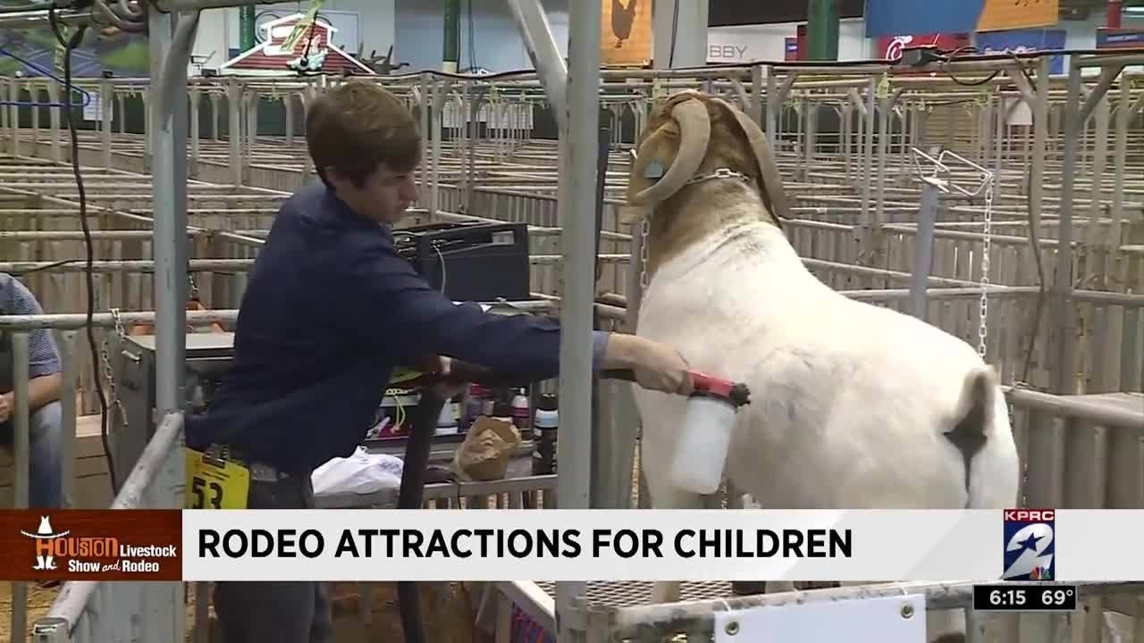 Rodeo attractions for children - YouTube
