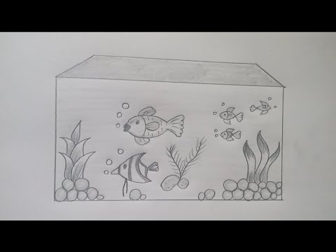 how to draw an aquarium/fish tank //easy aquarium drawing step by step ...