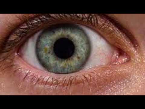 Extremely heightened senses, fast reflexes, accelerated thinking ...