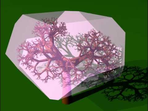 3D iterated function system bounding - YouTube