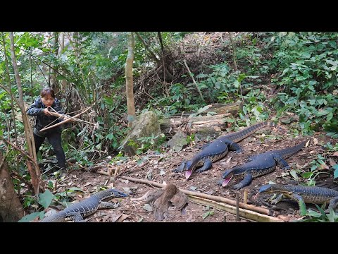 Wilderness survival skills, discovering a fierce wild animal snatching the prey, survival alone