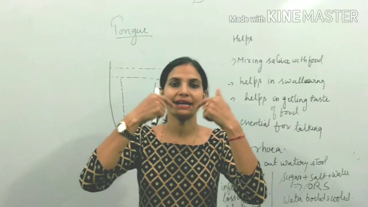 Class 7th Science Chapter 2 Part 4 YouTube class-7th-science-chapter-2-part-4-youtube