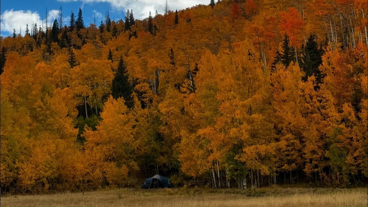Setting up camp at Stunner Camp Grounds Colorado! - YouTube