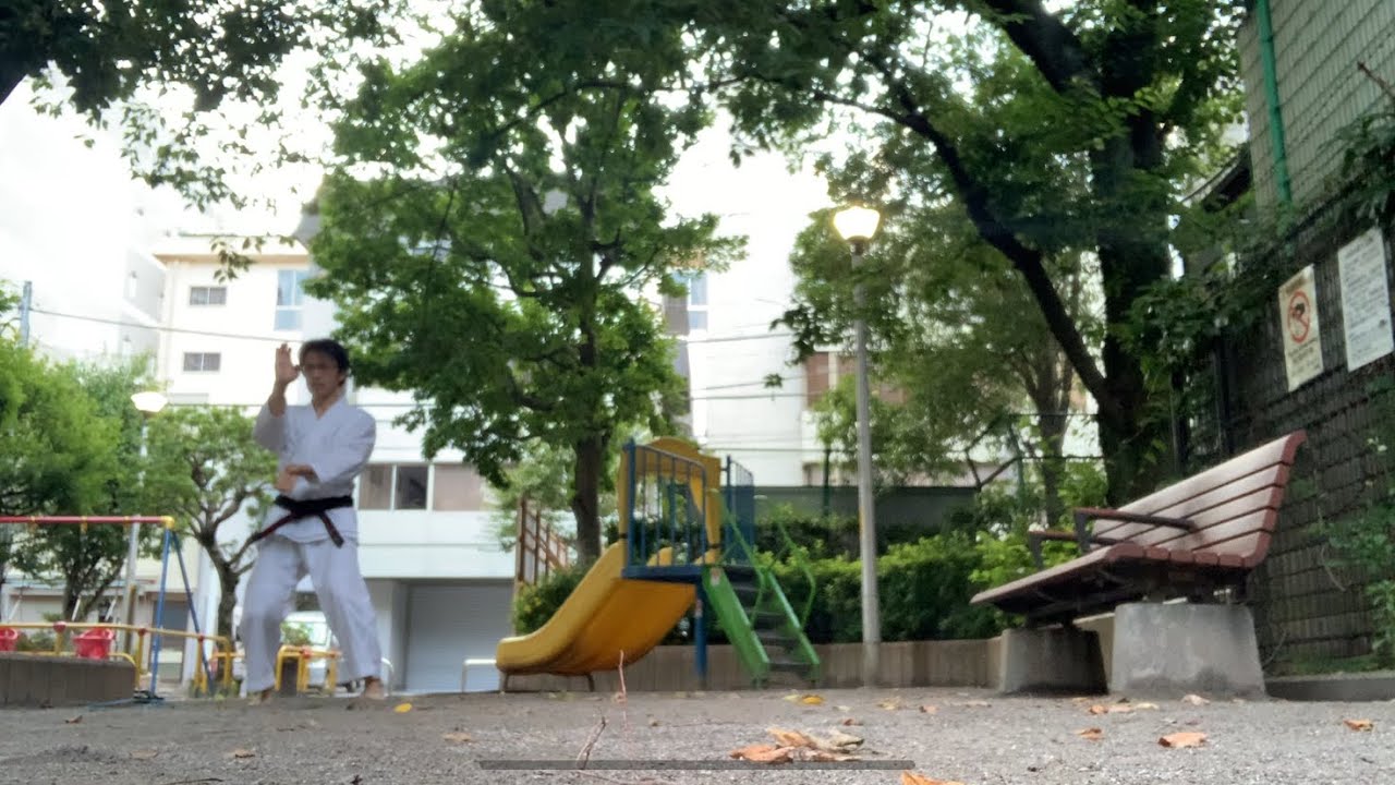 My original kata, the second, Unsoku-nidan (私の創作その2 運足二段) - YouTube