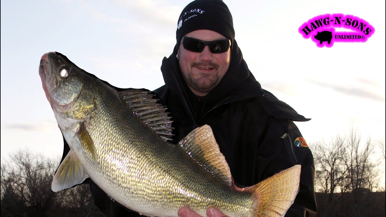 Catching Walleye Fishing De Pere Dam - HawgNSonsTV - YouTube