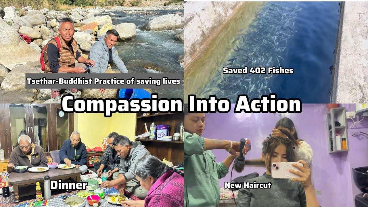 Tsethar- Life Release Of 402 Fishes 2024 - YouTube