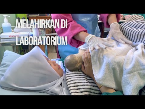 PRAKTEK MELAHIRKAN DI SEKOLAH