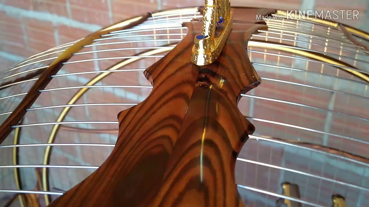 Primeira gaiola internacional estados unidos - YouTube