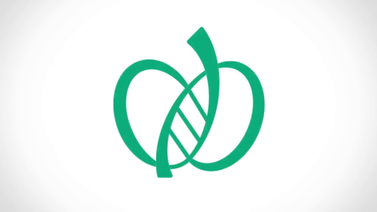 Brand Reveal Lic Nutrición CUCS UE - YouTube