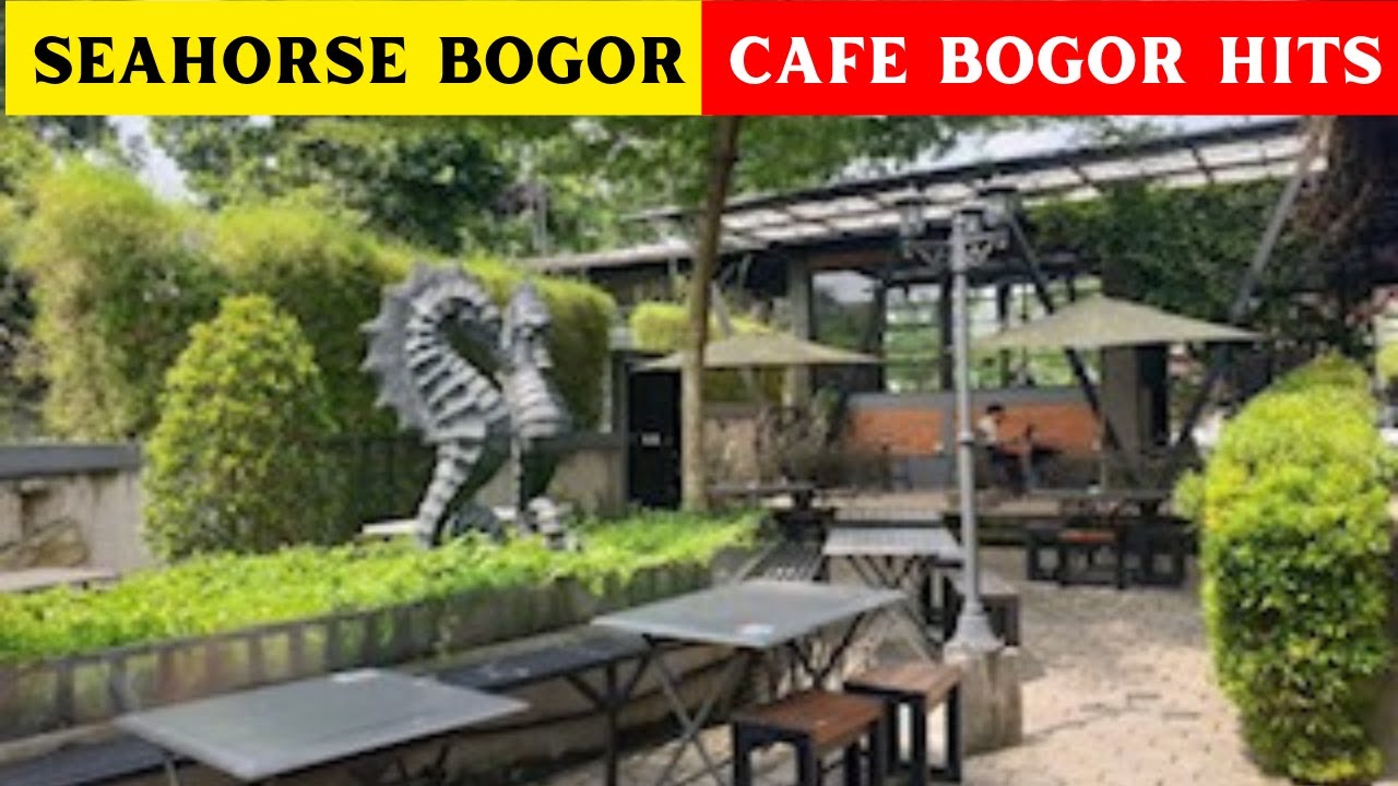 SEAHORSE CAFE BOGOR || CAFE BOGOR HITS - YouTube