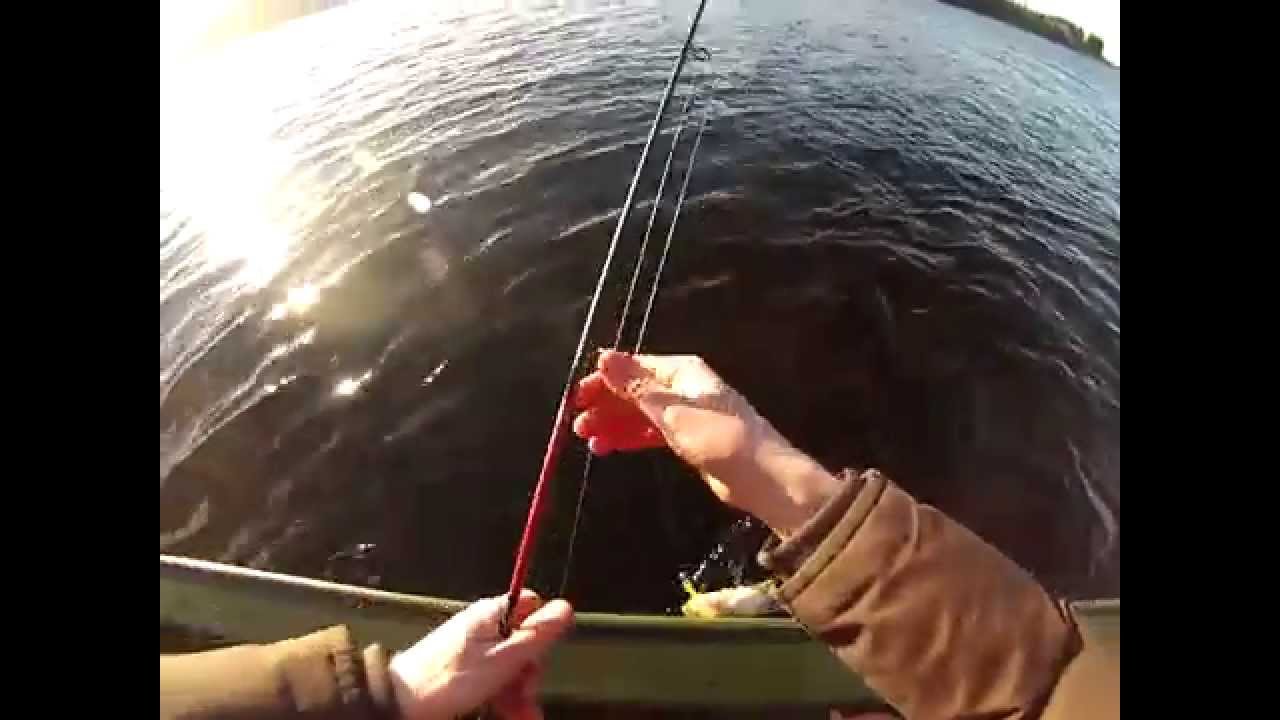 Pêche Du Sandre Et Brochet A La Vertical Aux Leurres Sandre Brochet