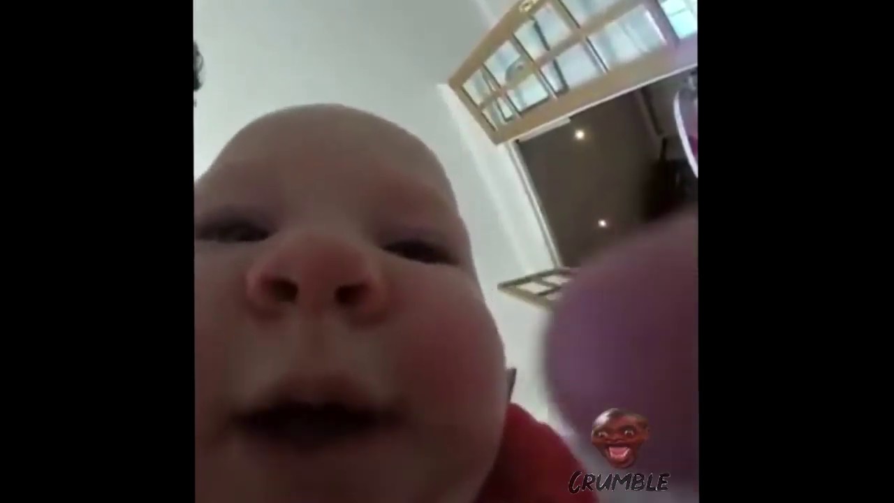 Baby Eats Camera Meme - YouTube