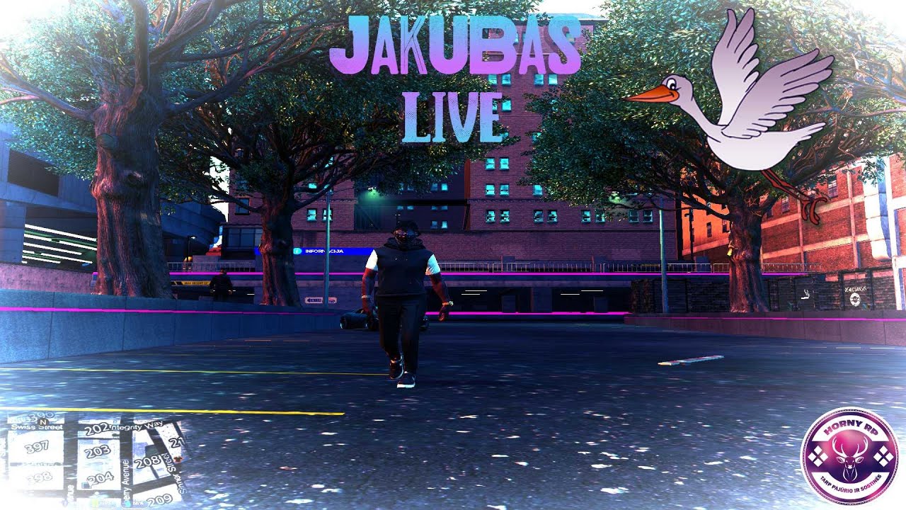 Live Stream Judam - YouTube