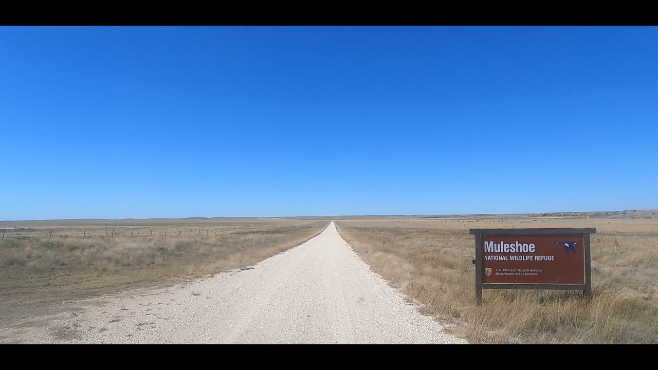 Muleshoe National Wildlife Refuge. Bailey County, Texas - YouTube