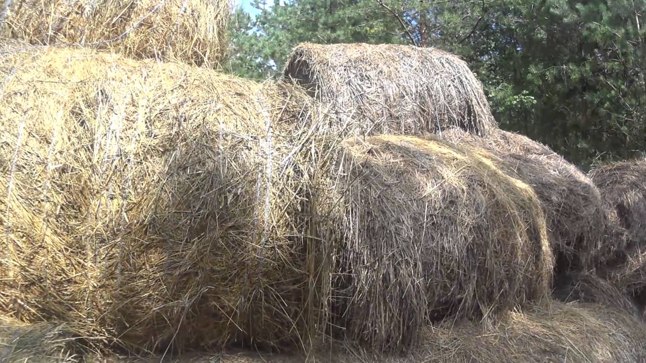 Kihnu island trip 2016 - Kinhu saar Estonia - YouTube