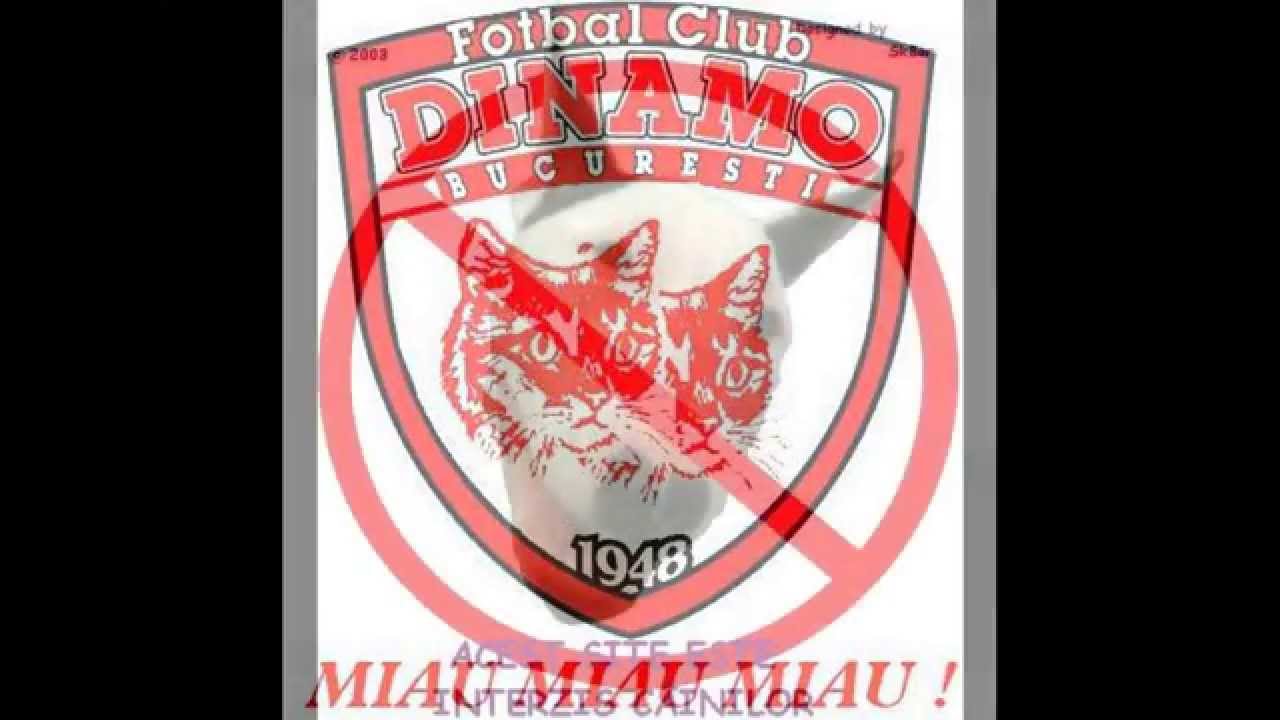ANTI dINAMO ! - YouTube