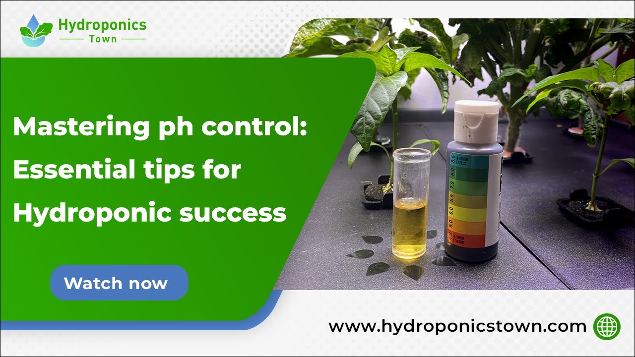 Mastering Ph Control: Essential Tips for Hydroponic Success—Hydroponics Town - YouTube