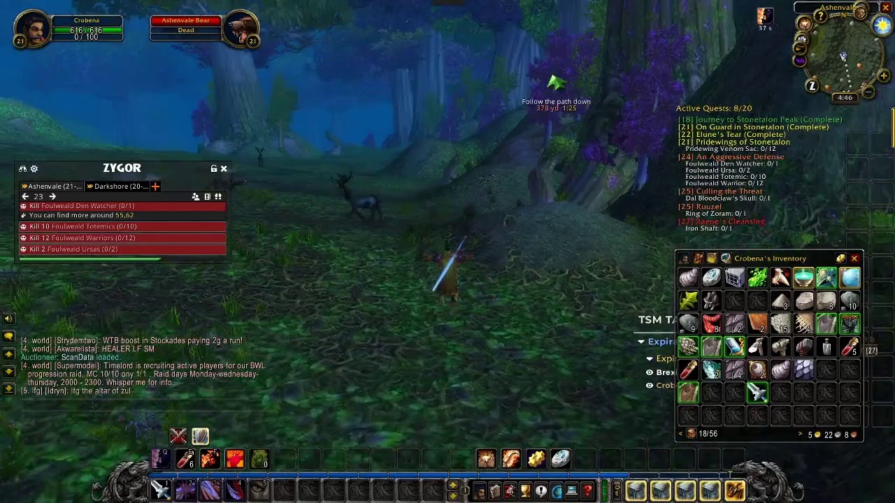 World of warcraft Classic Leveling Crusade guild - YouTube