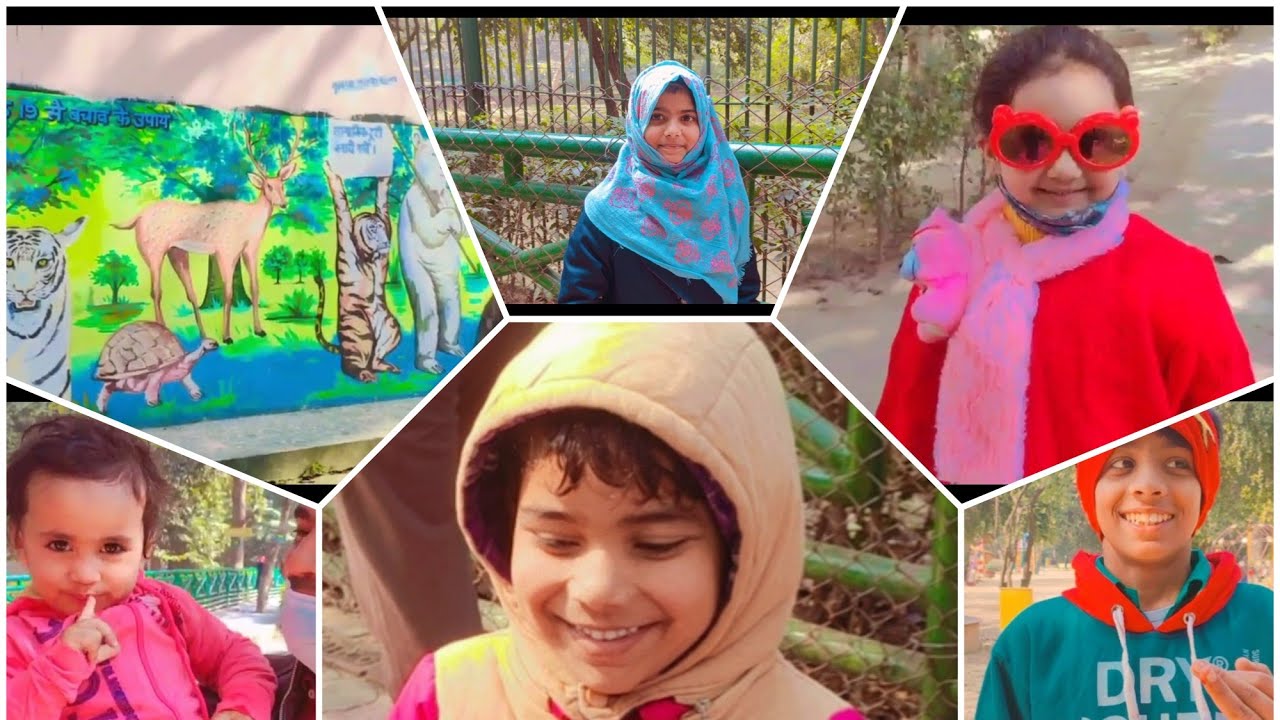 Picnic Tour Maktab e Imamia Bijnor Lko - YouTube