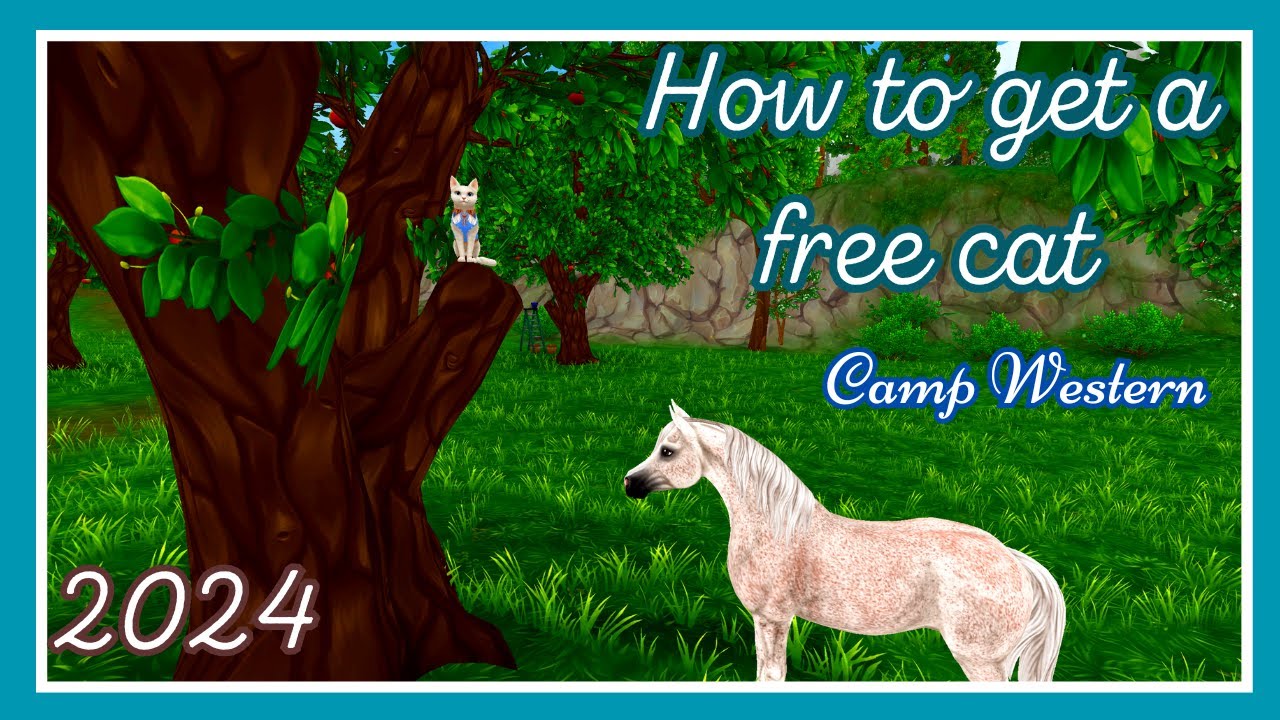 SSO - Camp Western 2024🤠How to get a free cat😺 - YouTube