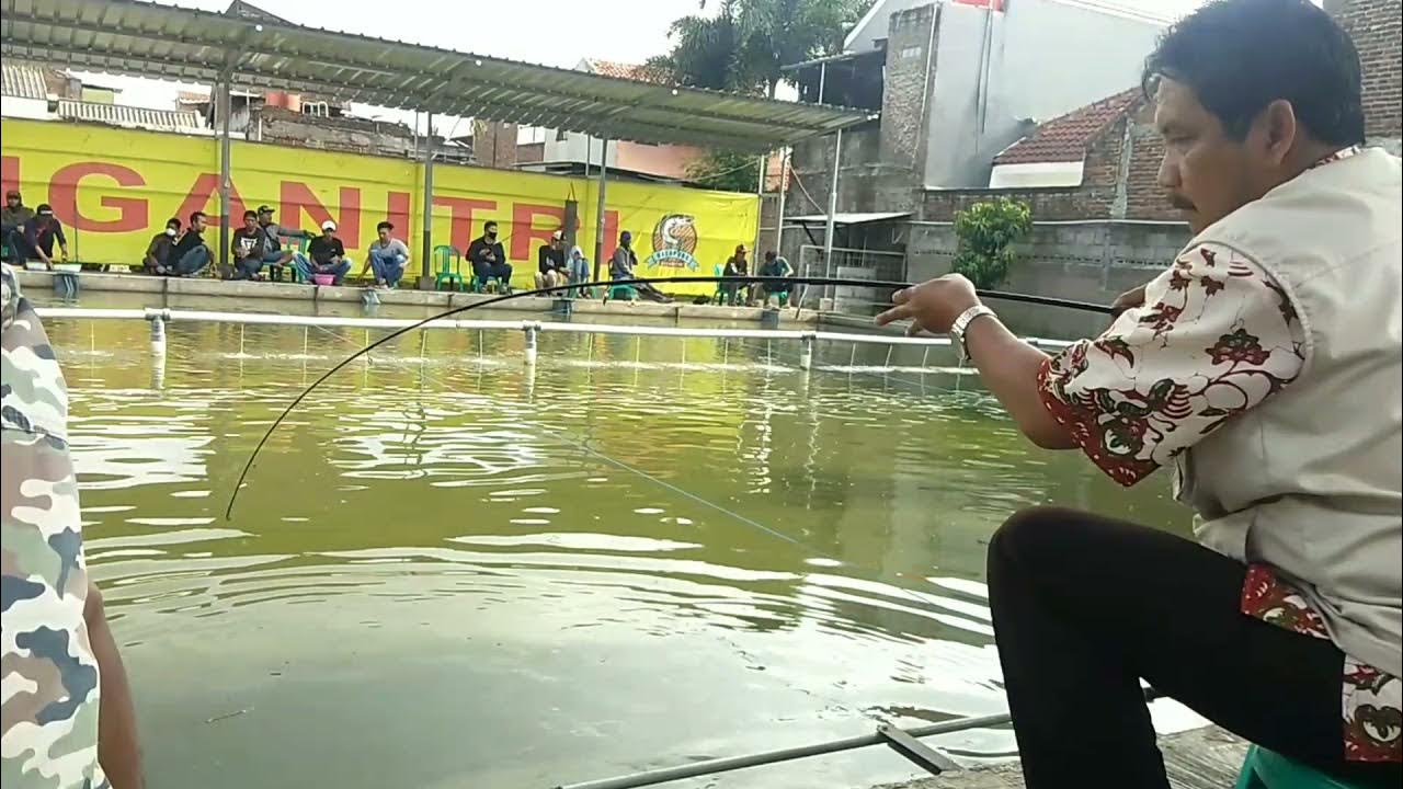 mancing mania (Galapung Ciganitri) - YouTube