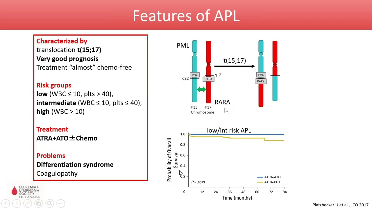 AML (part 4) : What is APML? - YouTube