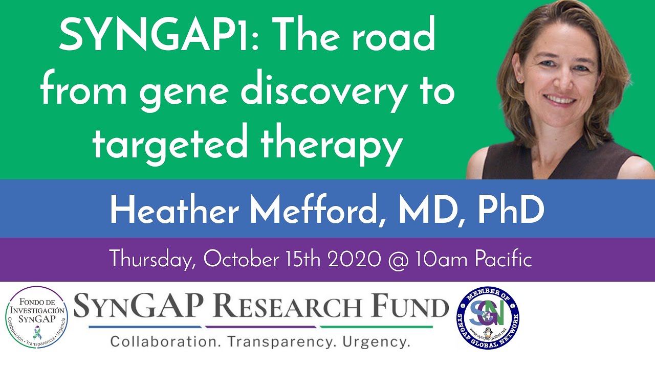 SynGAP Research Fund - Heather Mefford - From gene discovery to therapy ...