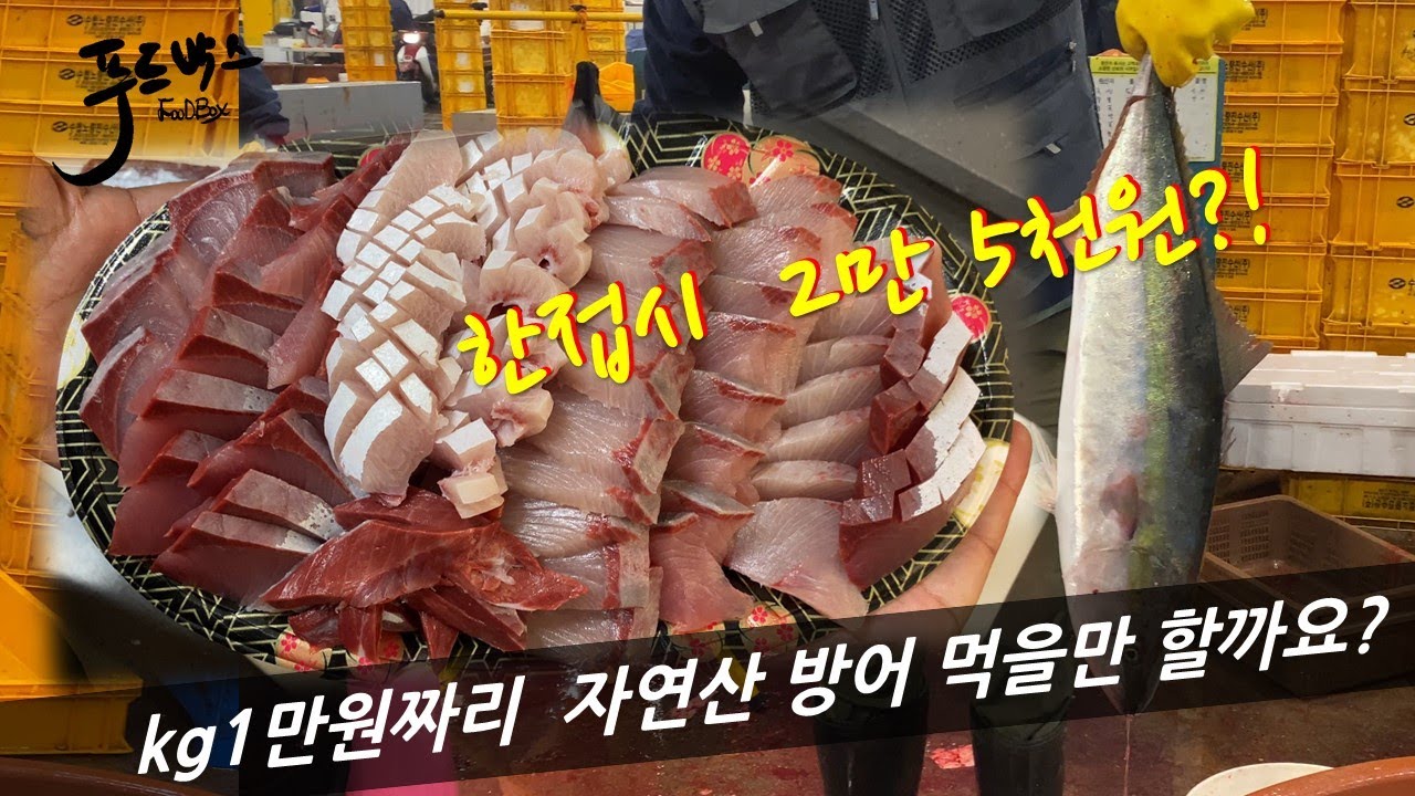 Kg 1만원짜리 자연산방어의 상태는 방어사상충은 몇마리 Youtube