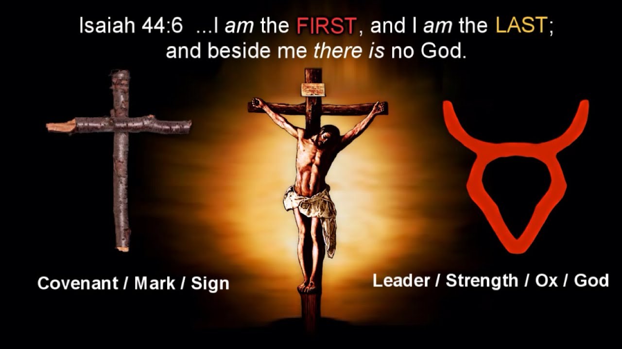 "Alphonzo Munzo (the Aleph-Tav Body)" - Shalom Pod - YouTube