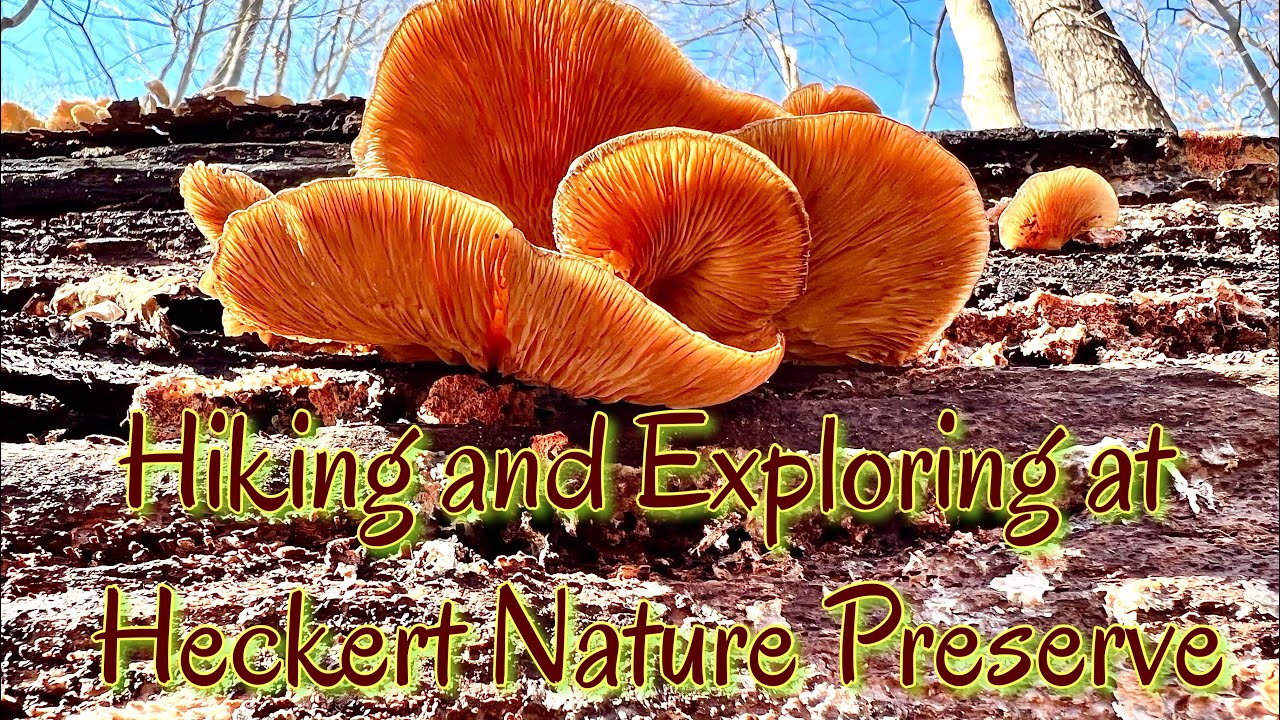Hiking at Heckert Nature Preserve - YouTube