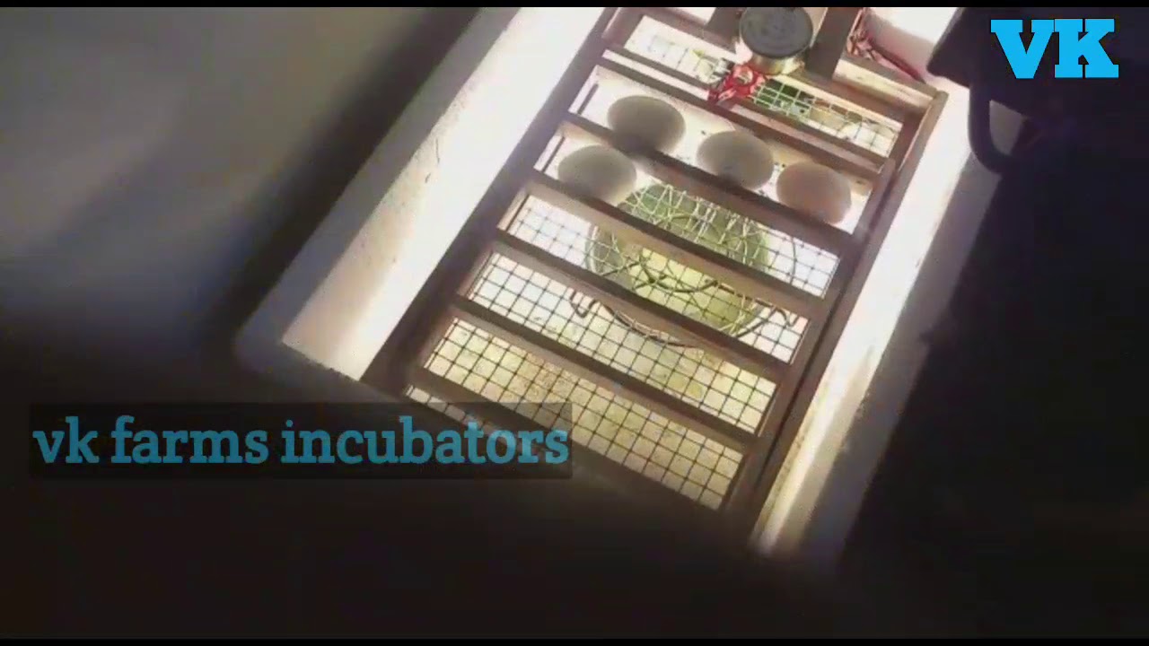 Vk FARMS INCUBATORS success video - YouTube