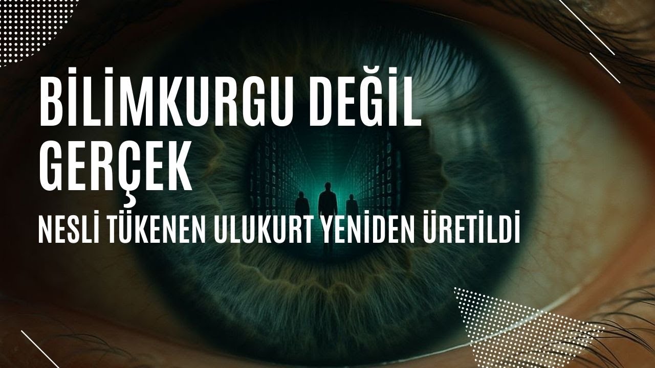 Bilimkurgu Değil Gerçek! Ulukurt Yeniden Üretildi - YouTube