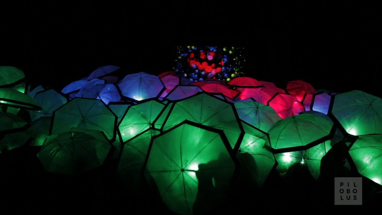 UP: THE UMBRELLA PROJECT - YouTube