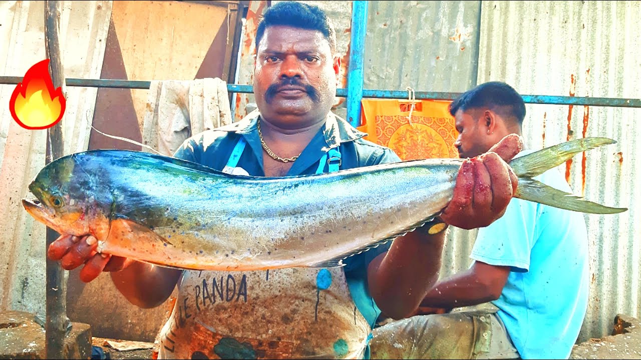 5KG $20 MAHI MAHI FISH & BLACK KODUVAA MEEN - YouTube