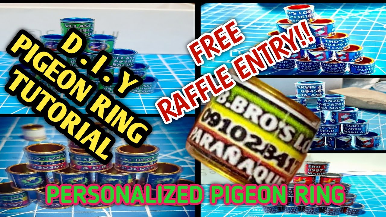 DIY PERSONALIZED PIGEON RING TUTORIAL - YouTube