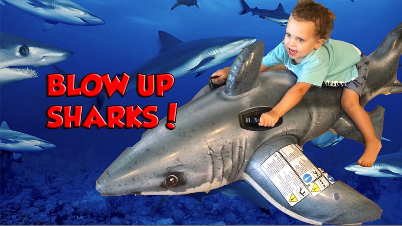 Shark Toy Review | Blowing Up Shark Floaties | Family Fun | - YouTube