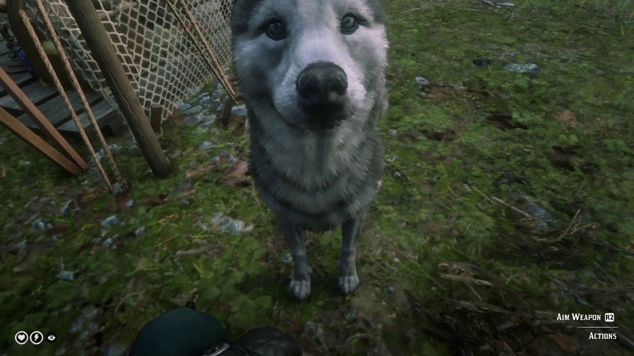 Siberian Husky at camp on RDR2 Red Dead Redemption 2 - YouTube