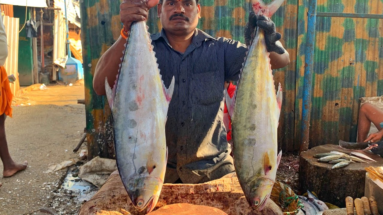 QUEEN TREVALLLY FISH CUTTING SKILLS🔪KASIMEDU FISH CUTTING🔪KF FISH CUTS ...
