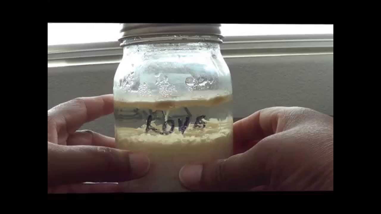 Day 93 Water Experiment Changing Negativity Using Positive Words - YouTube