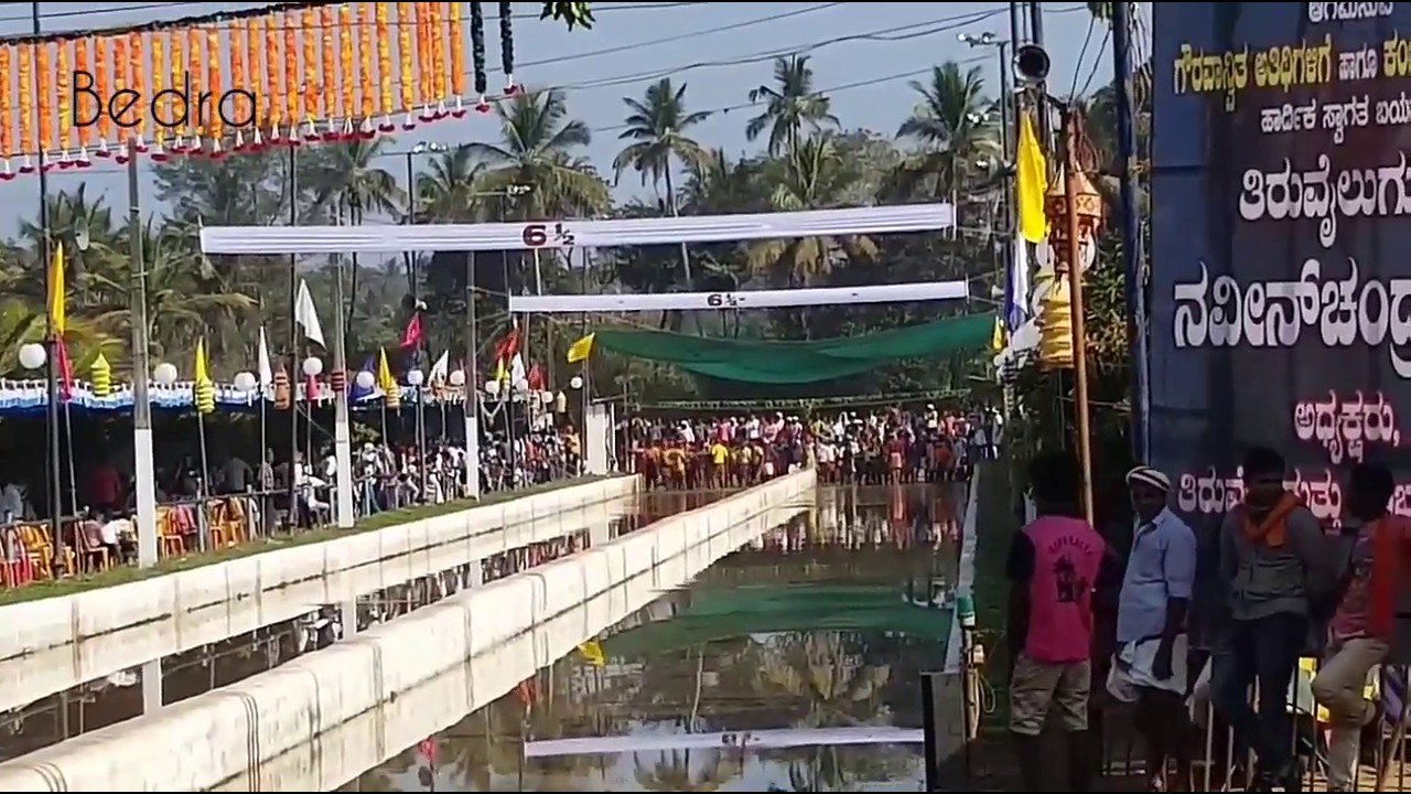 Vamanjoor kambala All finals 2019 - YouTube