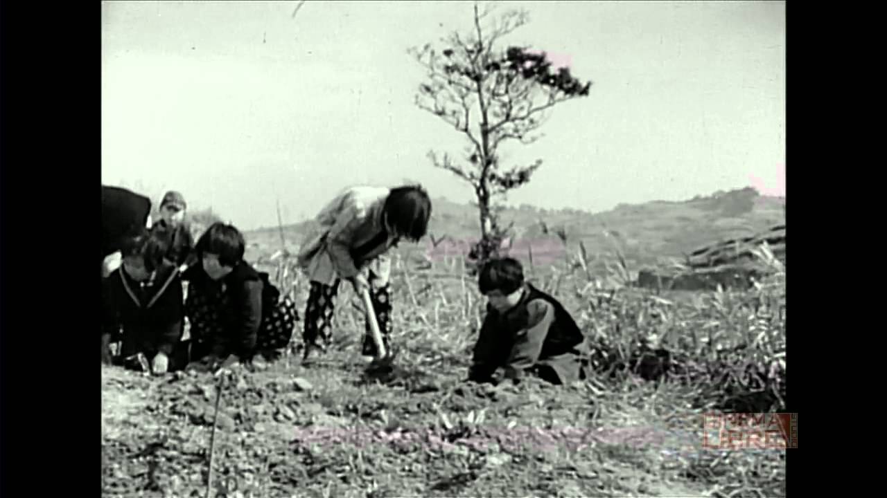 "The Evacuation of Children from Hiroshima During World War II" Clip ...