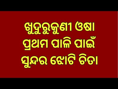 Khudurukuni Osa 2026 Special Kothi Chita Designs/ Easy Jhoti Chita for BEGINNERS🪷/ Easy Rangoli🌺