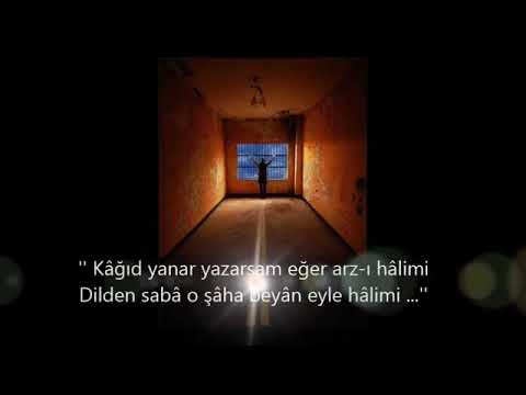 Ben bu yaylaları yaylayamadım